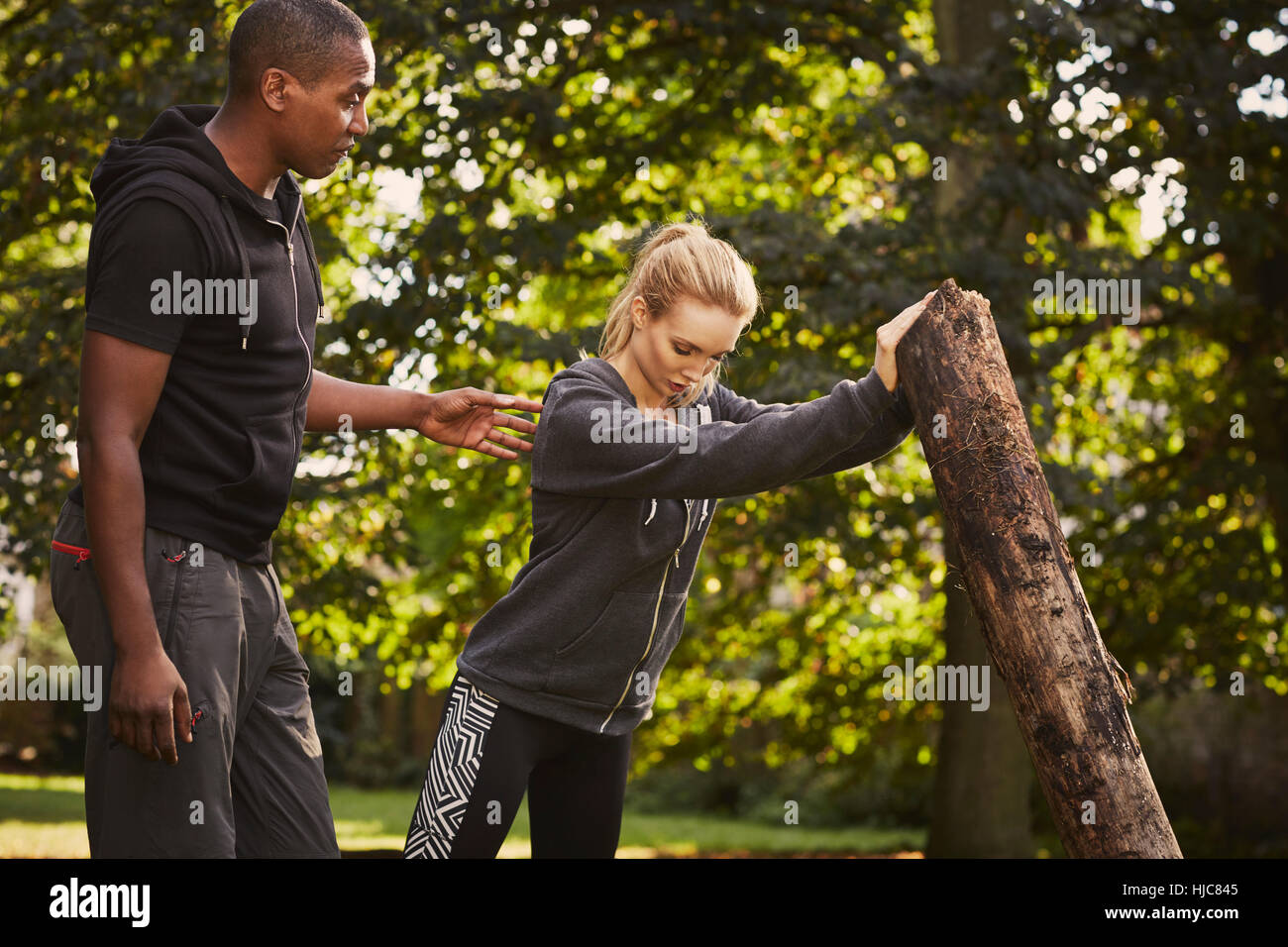 Lifting tree hi-res stock photography and images - Alamy