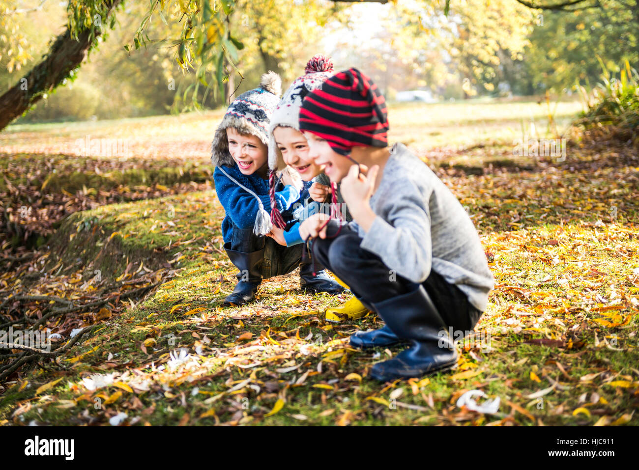 Three young boys, playing outdoors, crouching in autumn leaves Stock ...