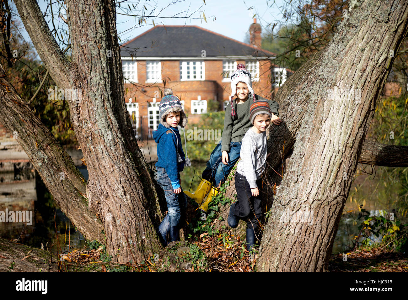 Portrait of three young boys, leaning against tree Stock Photo - Alamy