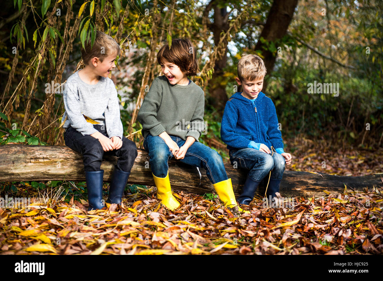 Three boys, outdoors, sitting on log, surrounded by autumn leaves Stock ...