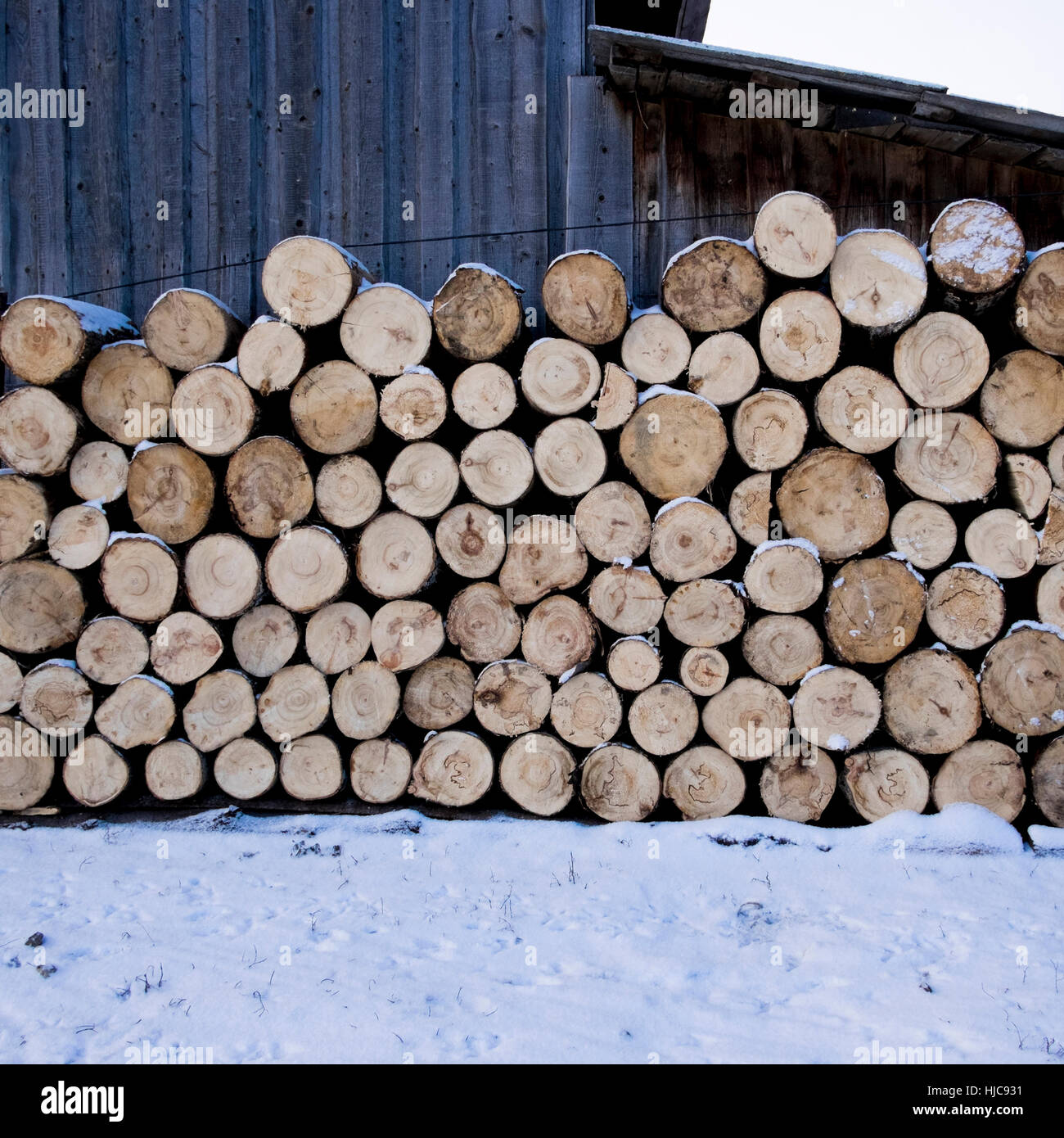 Pile of cut logs Stock Photo - Alamy