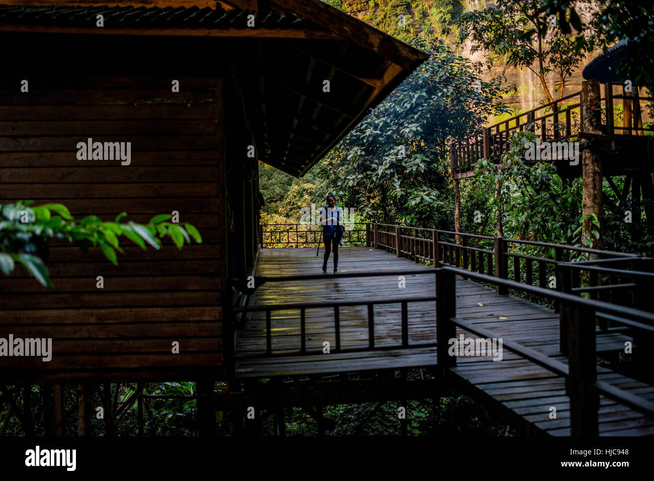 Base camp in Ban Nongluang National Park, treehouse, Champassak ...