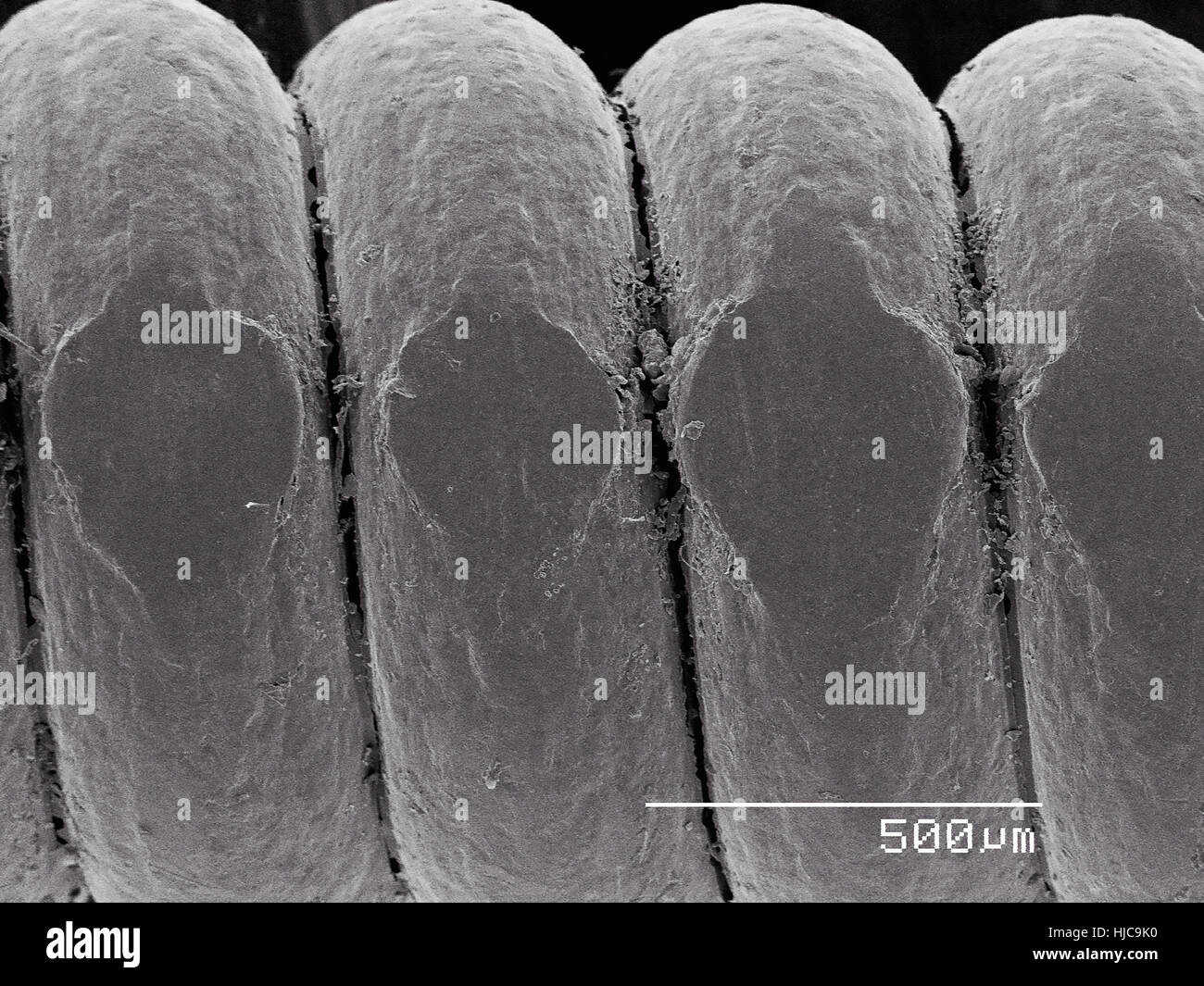 Worn portion of guitar string Stock Photo - Alamy