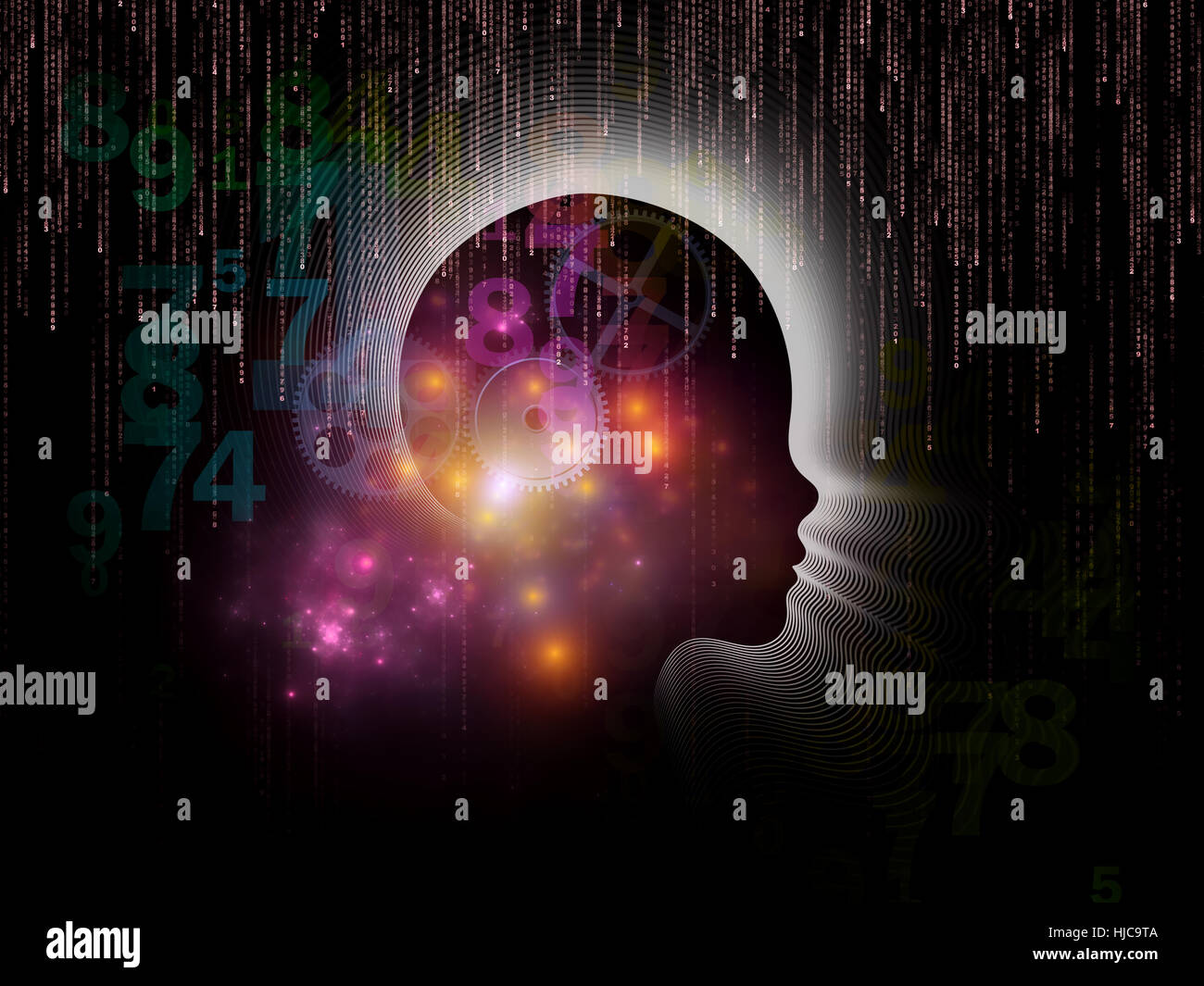 profile, calculation, education, composition, model, design, project ...