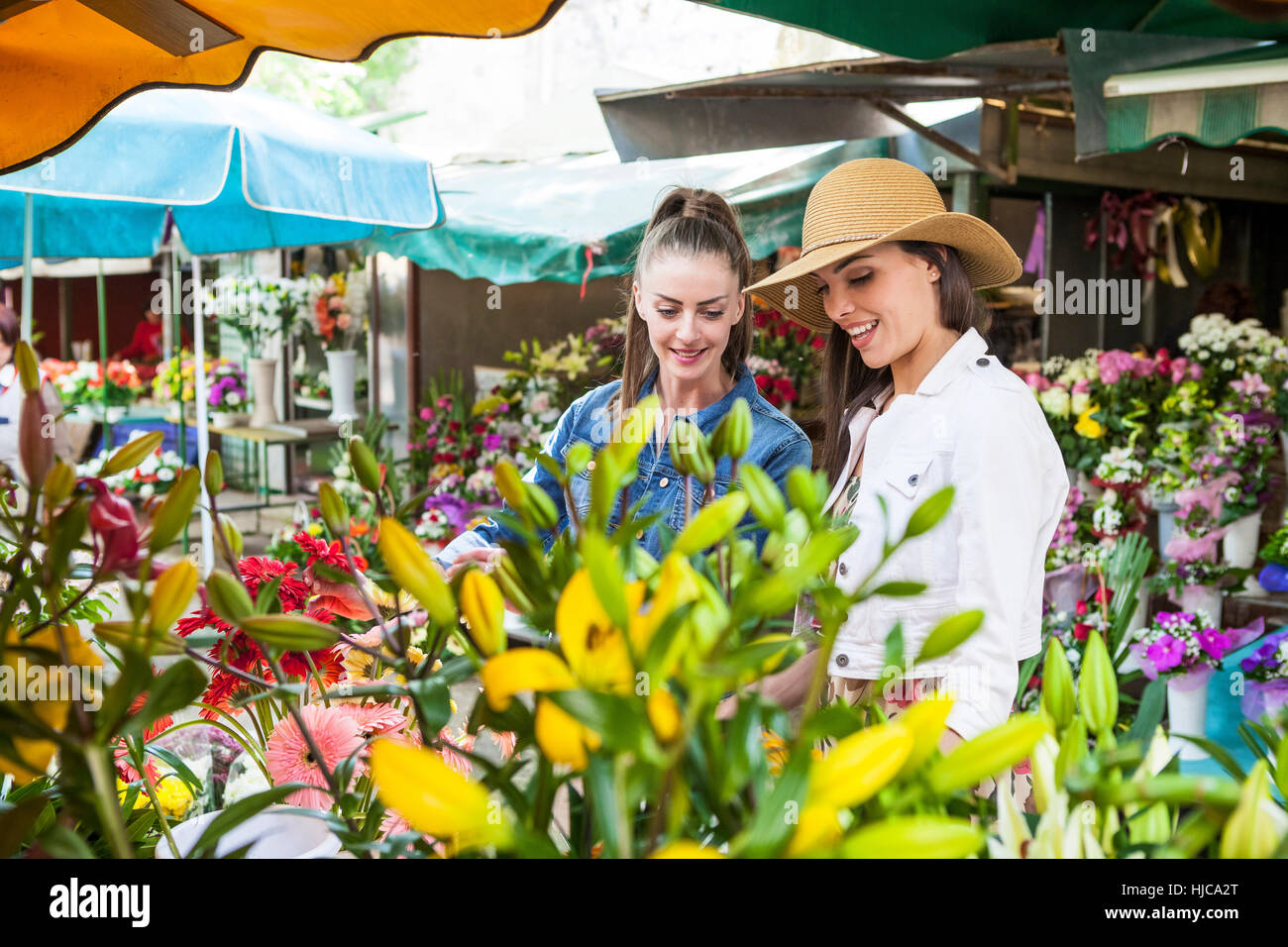 Young female tourist selecting flowers at market stall, Split, Dalmatia ...