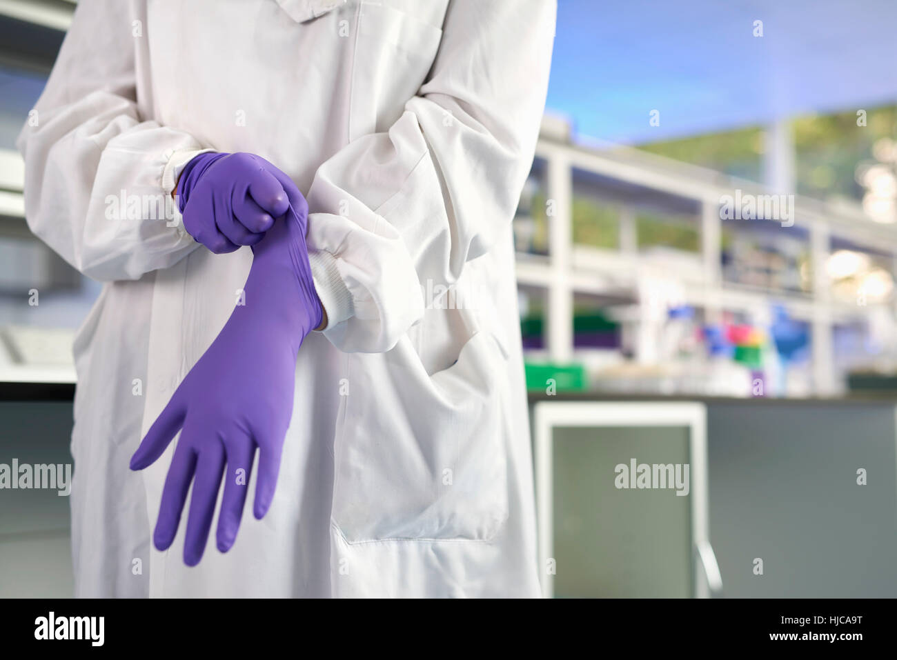 Cropped view of scientist in laboratory putting on latex gloves Stock ...