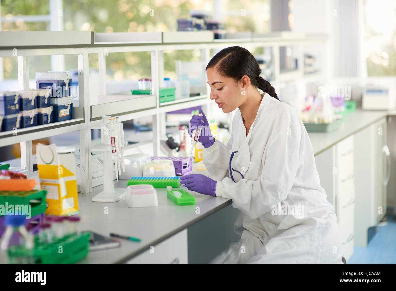 Scientist in laboratory doing experiment Stock Photo - Alamy