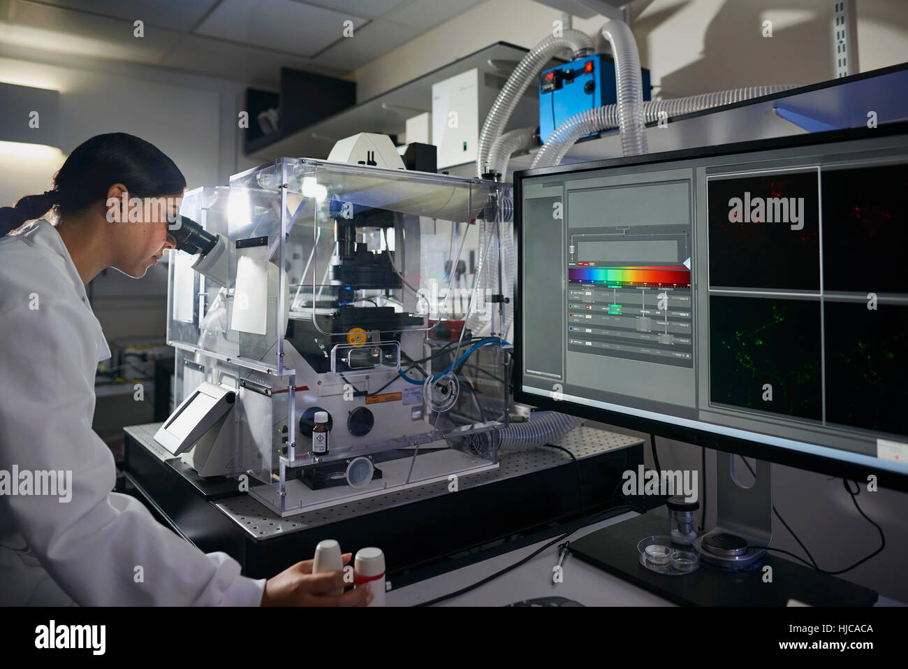 Scientist in laboratory looking through microscope Stock Photo - Alamy