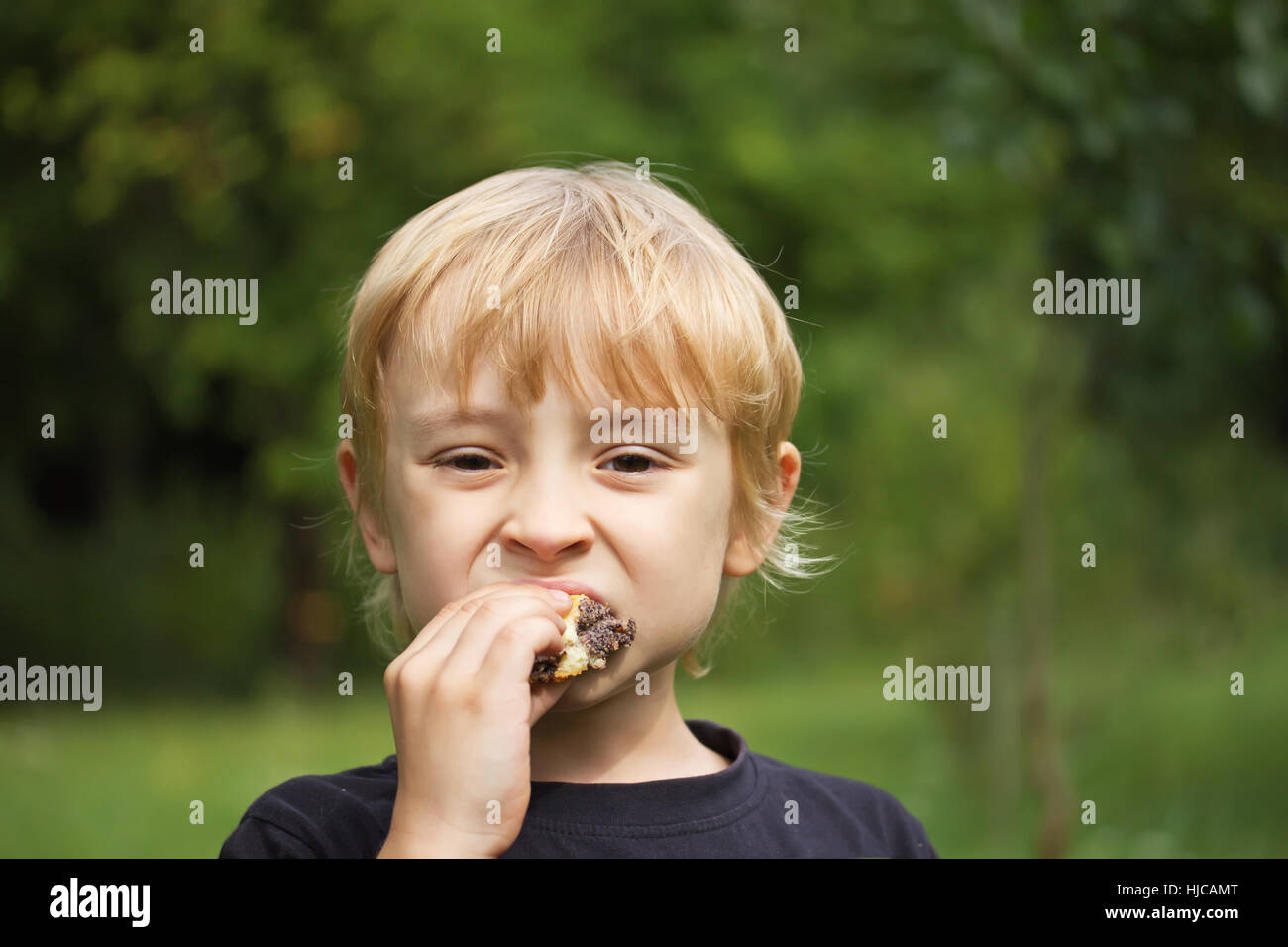 humans, human beings, people, folk, persons, human, human being, laugh ...