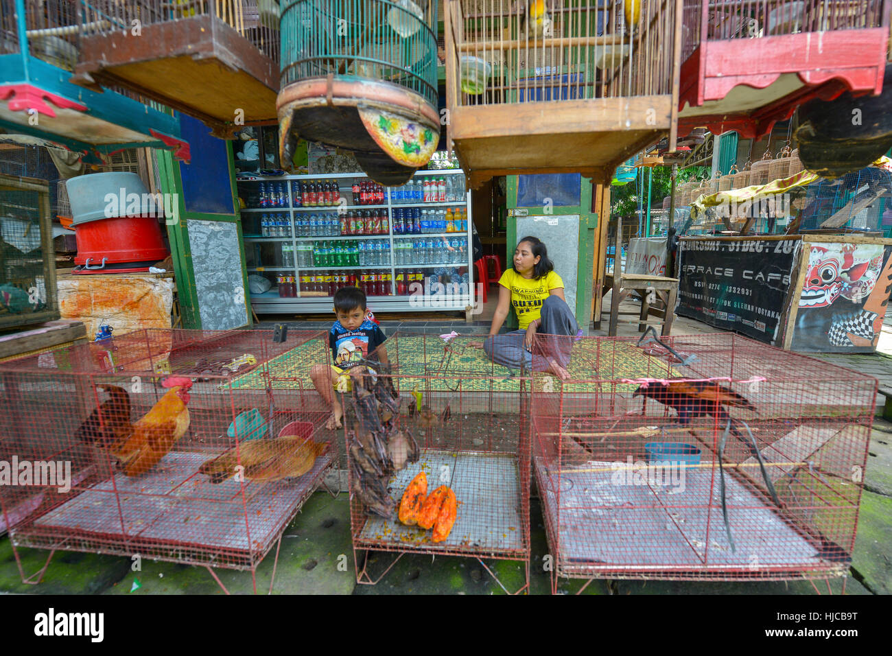 Birds bazaar hi-res stock photography and images - Alamy