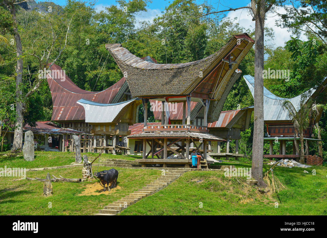 Tana Toraja, Sulawesi, Indonesia: Tongkonan traditional houses on ...
