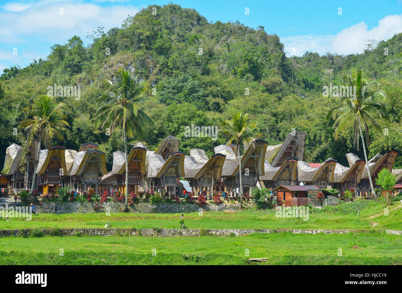 Tana Toraja, Sulawesi, Indonesia: Tongkonan traditional houses on ...