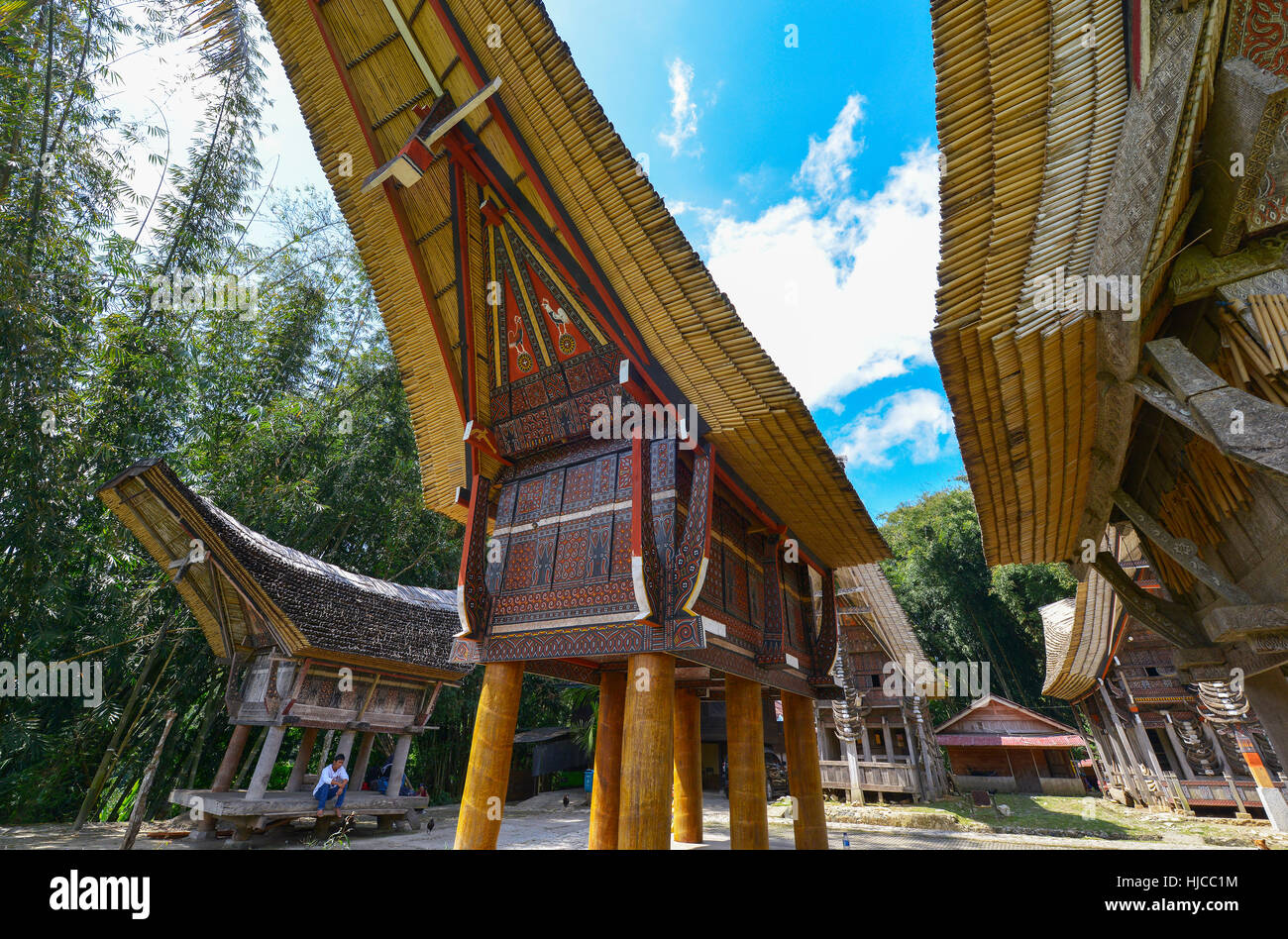 Traditional toraja village tongkonan hi-res stock photography and ...