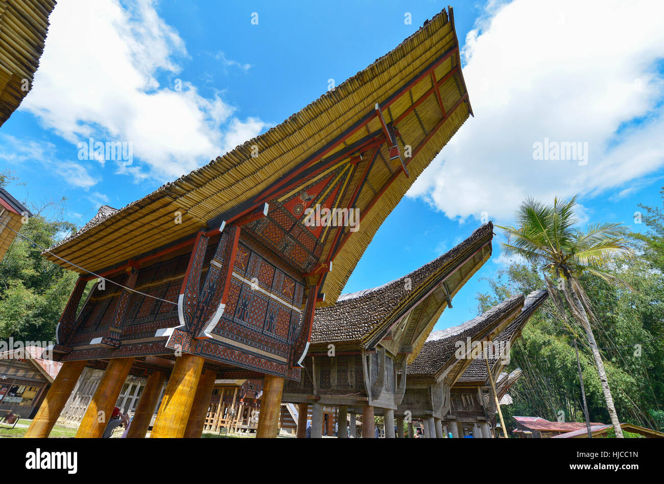 Tongkonan traditional houses in Tana Toraja, Sulawesi, Indonesia Stock ...