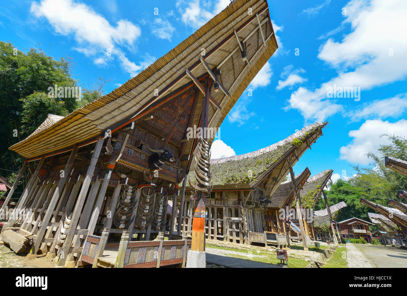 Tongkonan traditional houses in Tana Toraja, Sulawesi, Indonesia Stock ...