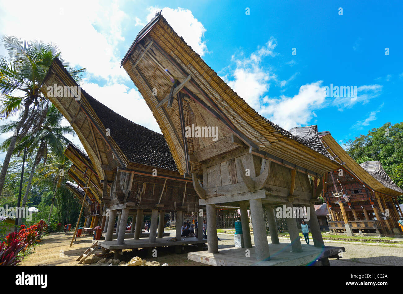 Tana Toraja, Sulawesi, Indonesia: Tongkonan traditional houses on ...
