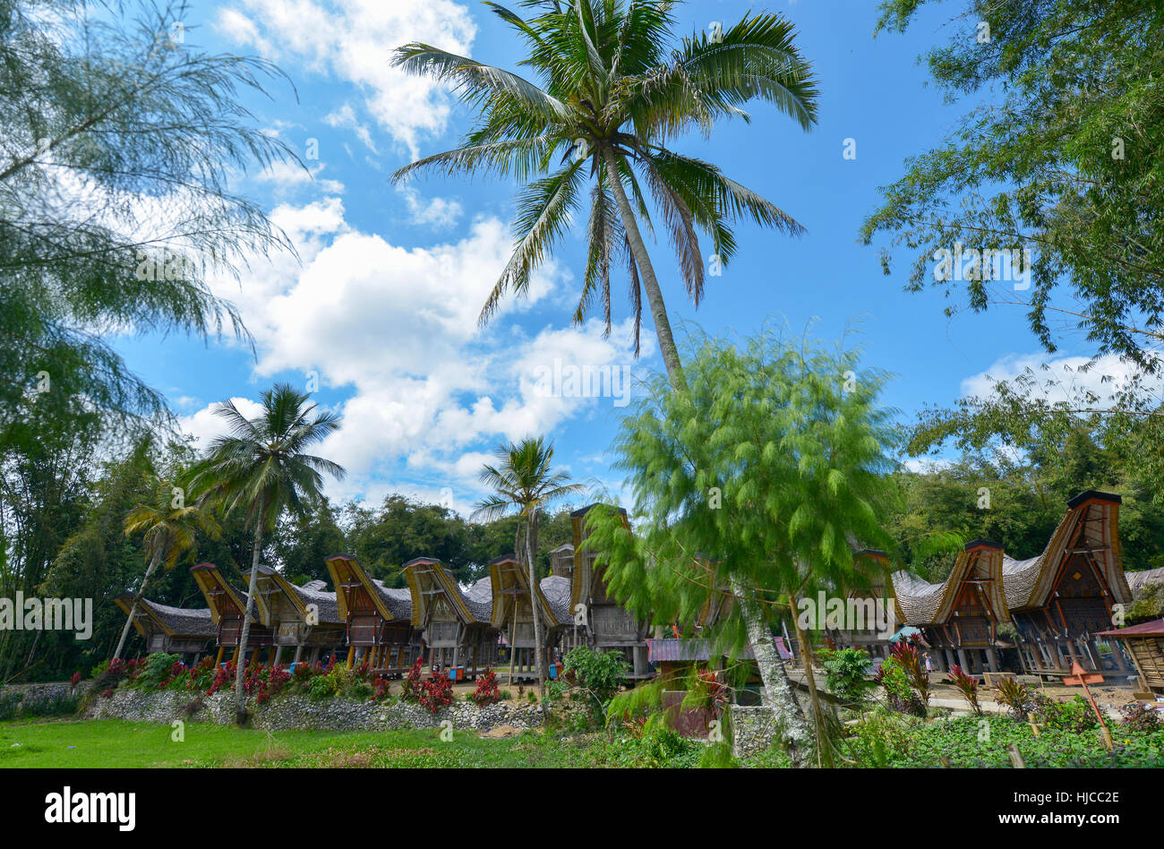Tana Toraja, Sulawesi, Indonesia: Tongkonan traditional houses on ...