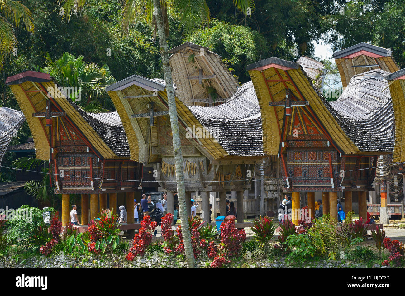 Tana Toraja, Sulawesi, Indonesia: Tongkonan traditional houses on ...