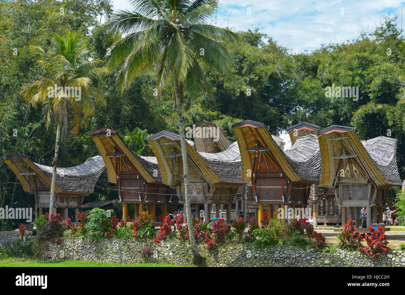 Tana Toraja, Sulawesi, Indonesia: Tongkonan traditional houses on ...