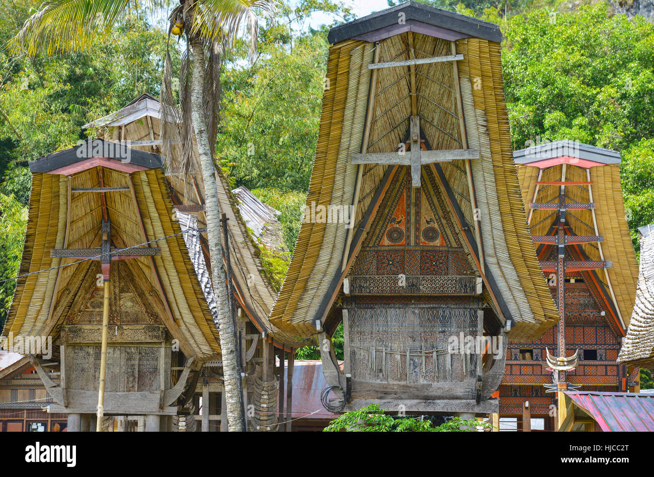 Tongkonan traditional houses in Tana Toraja, Sulawesi, Indonesia Stock ...