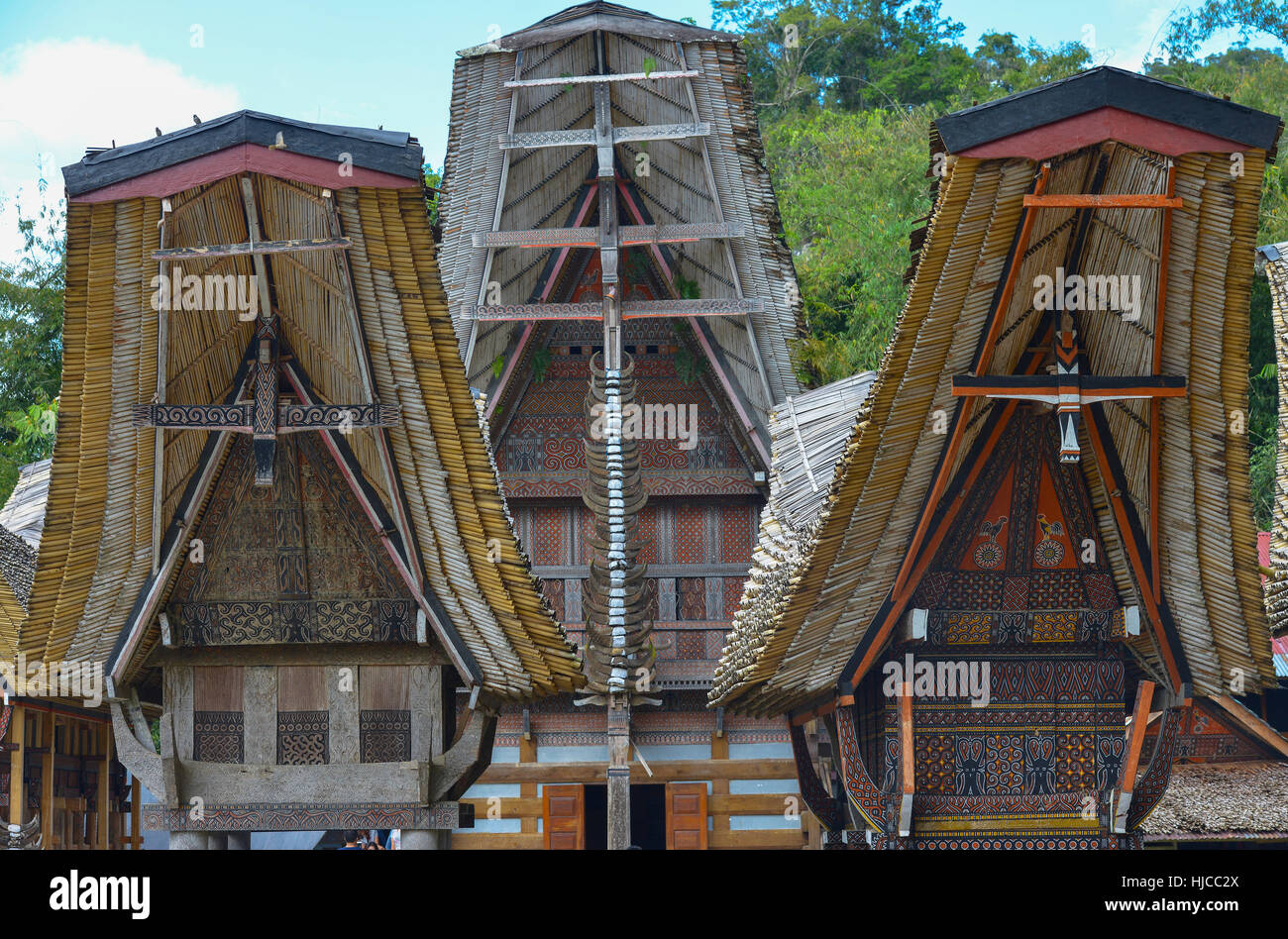 Tongkonan traditional houses in Tana Toraja, Sulawesi, Indonesia Stock ...