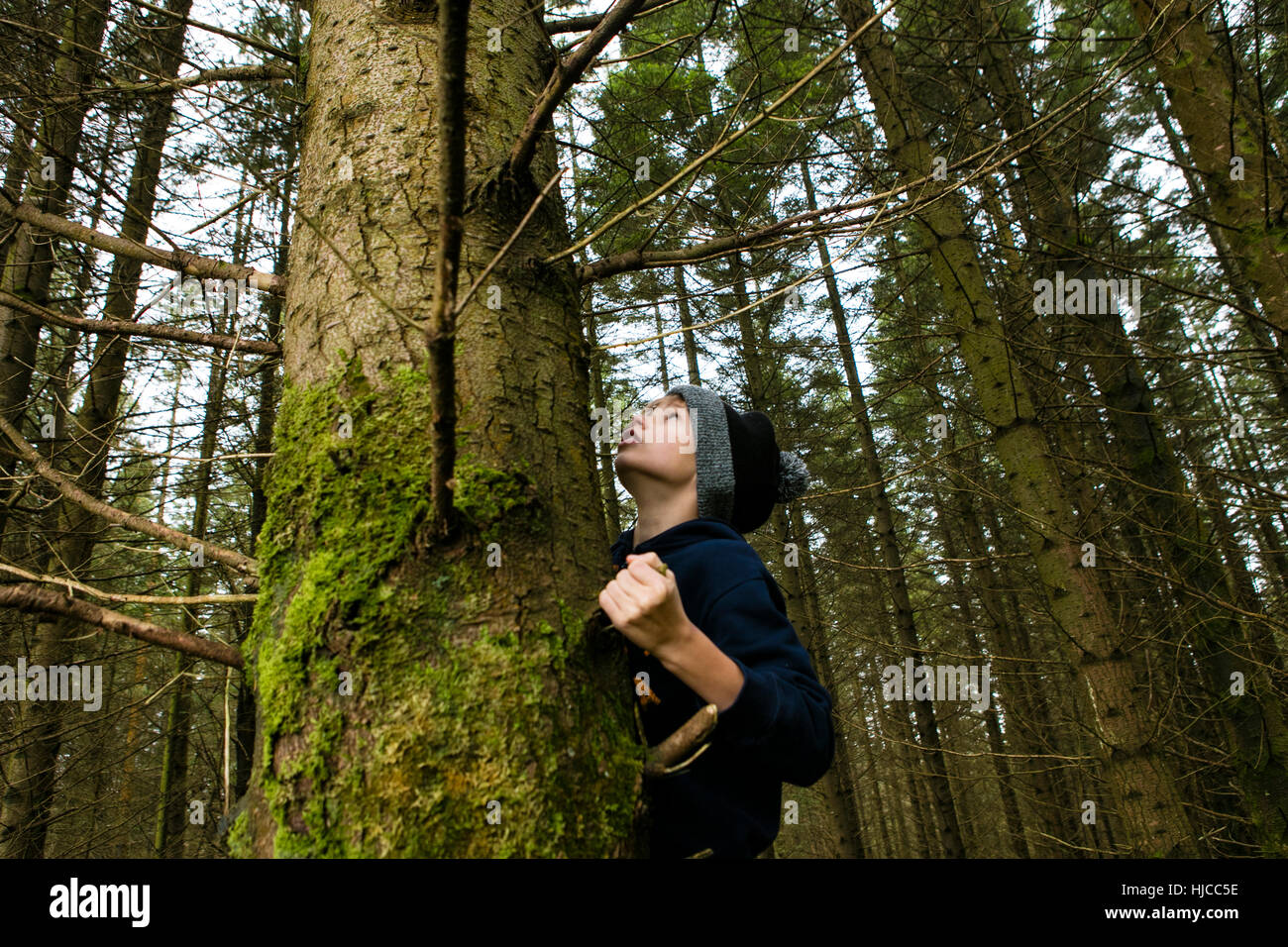 Boy tree climbing hi-res stock photography and images - Alamy
