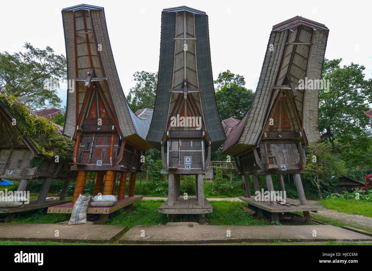 Tongkonan traditional houses in Tana Toraja, Sulawesi, Indonesia Stock ...