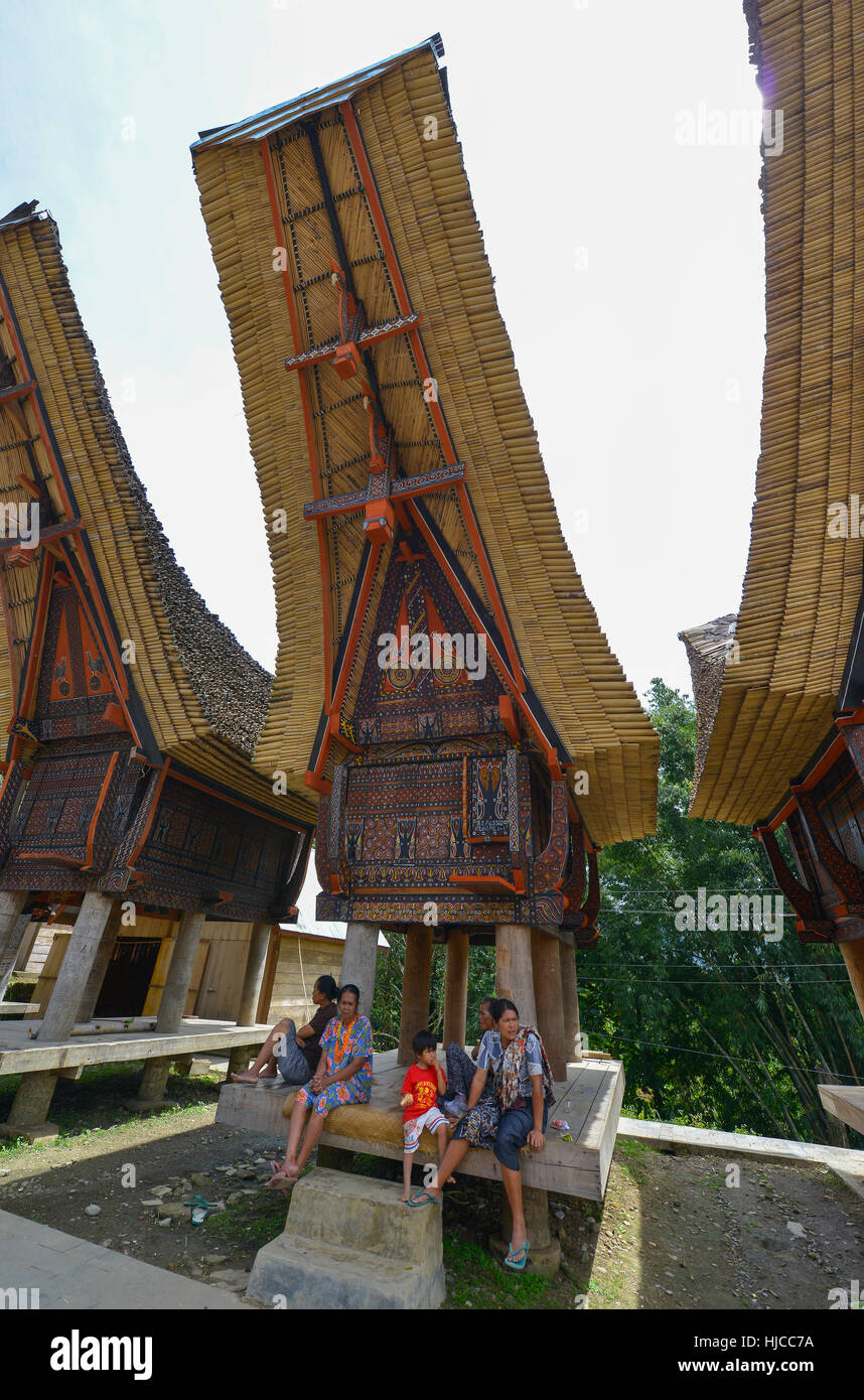 Tana Toraja, Sulawesi, Indonesia: Tongkonan traditional houses on ...