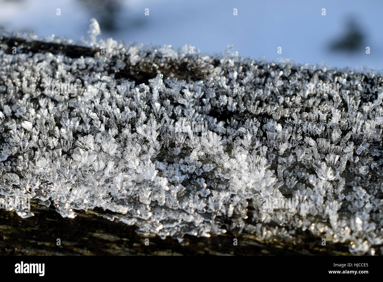 Icy wood hi-res stock photography and images - Alamy