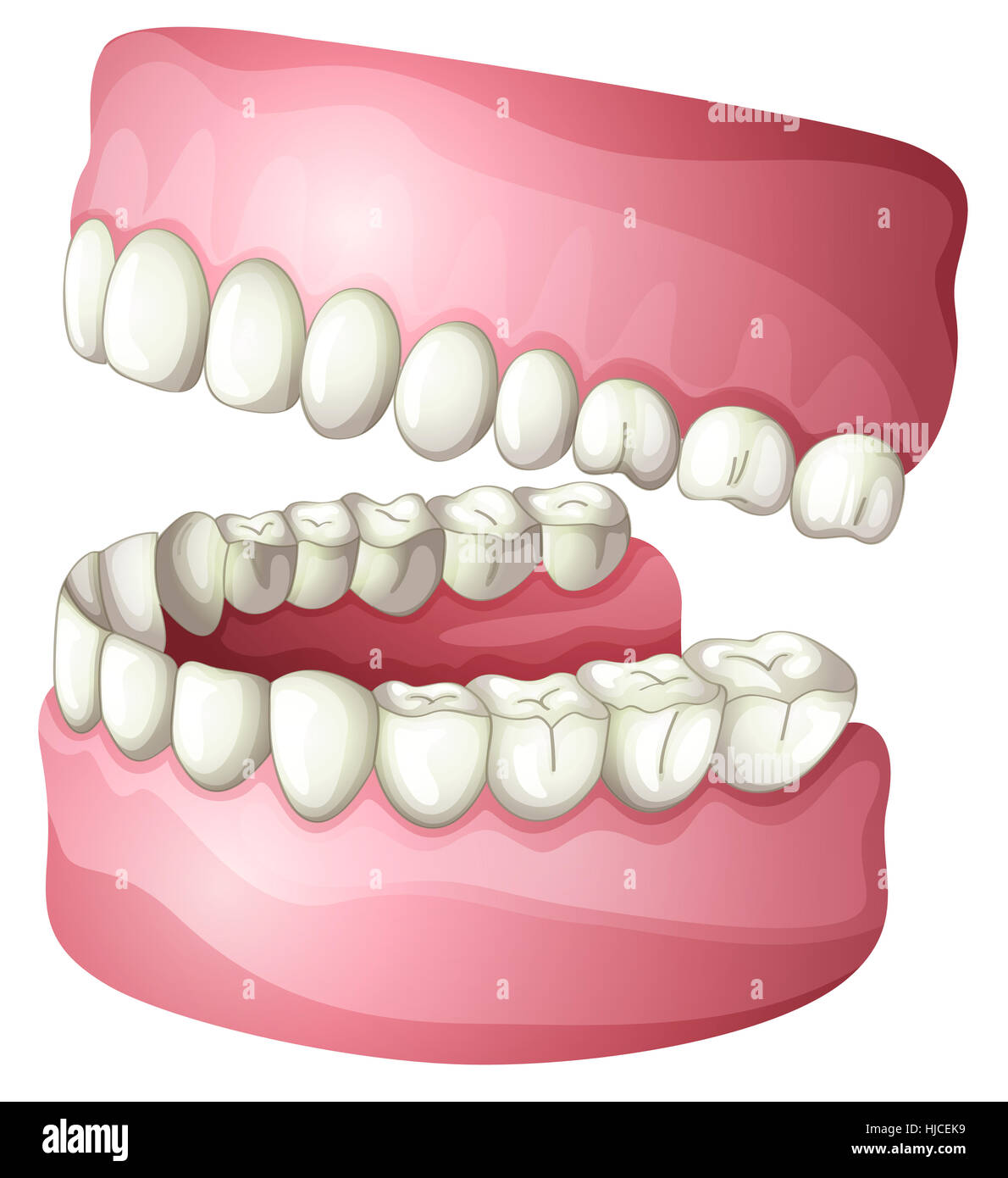 humans, human beings, people, folk, persons, human, human being, object ...