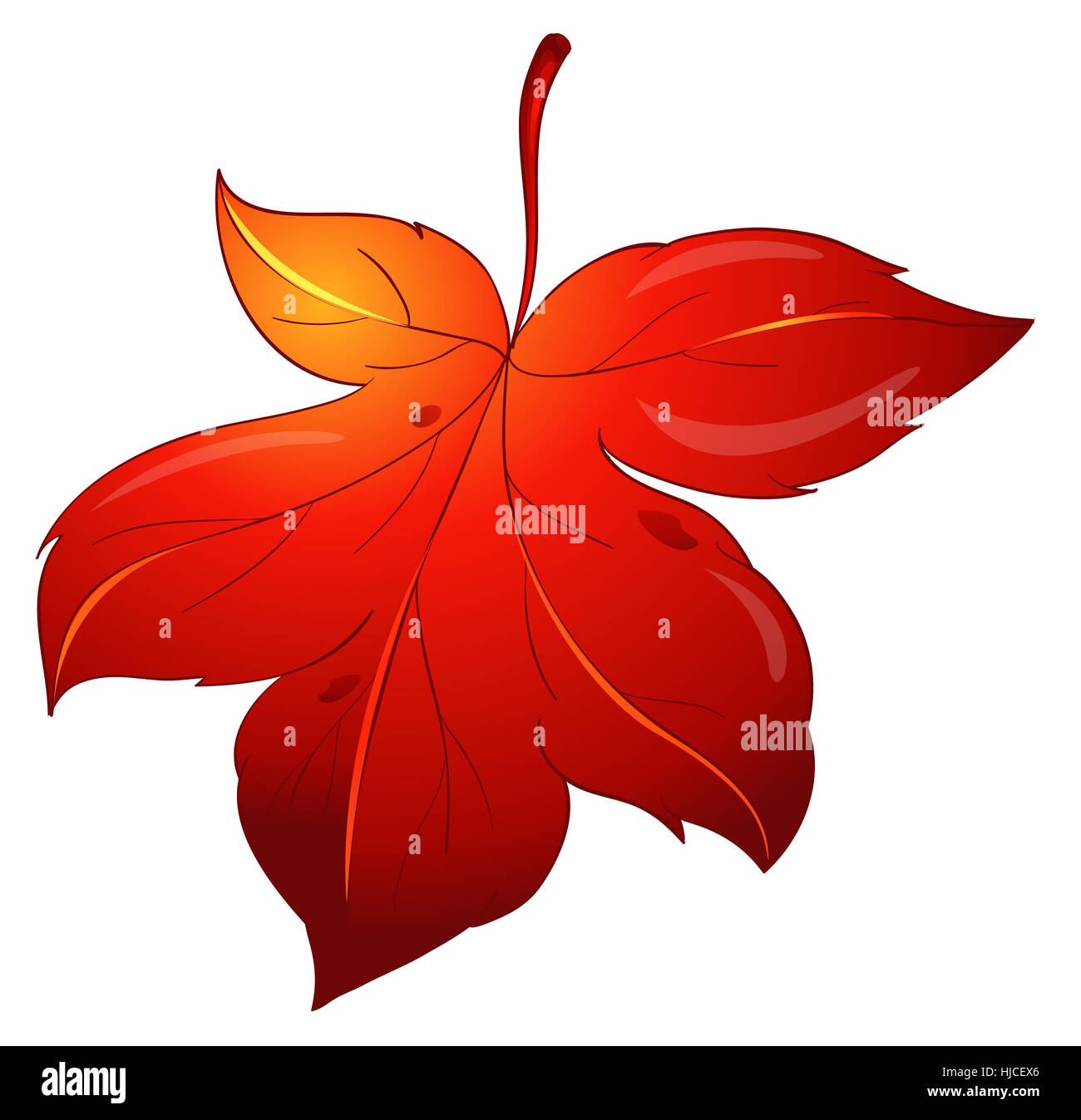 leaf, object, single, isolated, colour, graphic, painting, illustration ...