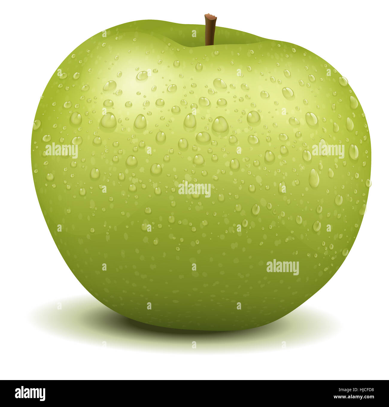 food, aliment, object, single, isolated, firm, firmly, ripe ...