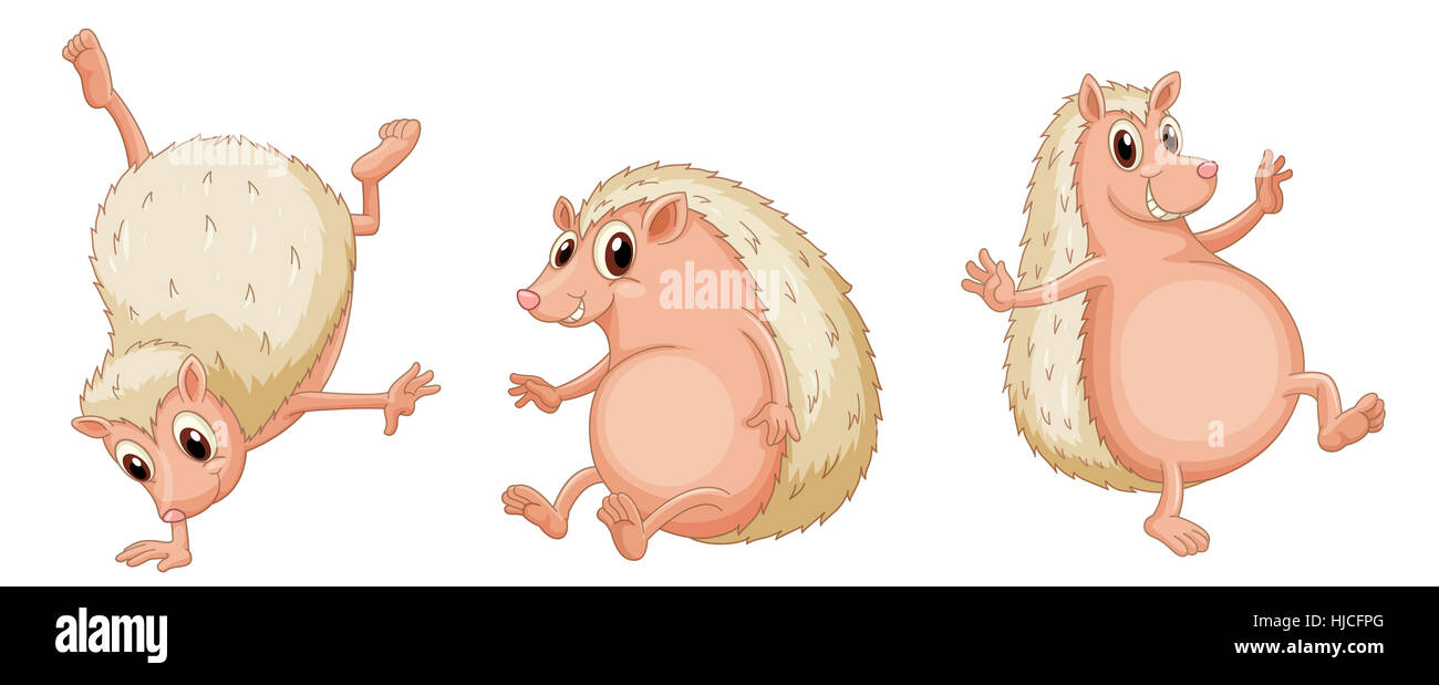 object, art, game, tournament, play, playing, plays, played, isolated ...