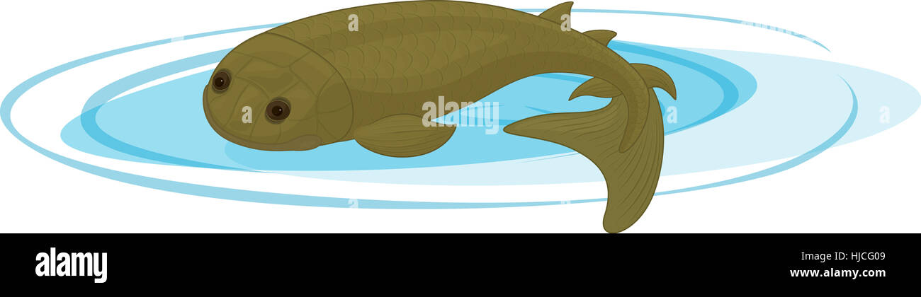 object, isolated, graphic, animal, fish, date, time, time indication ...