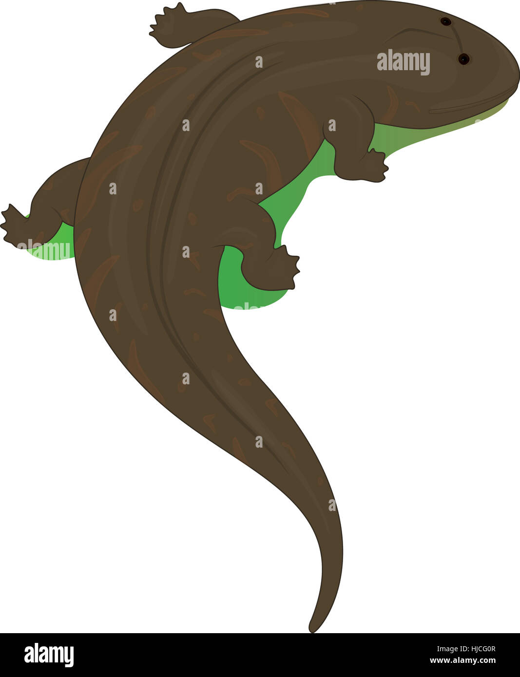 Illustration of Tiktaalik - the first limbed fish Stock Photo - Alamy