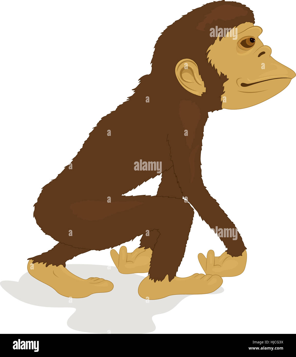 monkey illustration on white background Stock Photo - Alamy