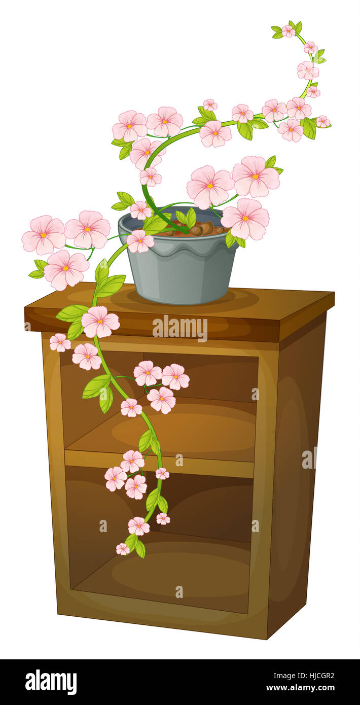 object, isolated, furniture, flower, plant, wood, bloom, blossom ...