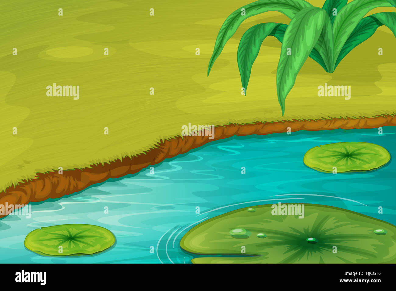 birds, lily, stream, nest, illustration, fern, fresh water, pond, water ...