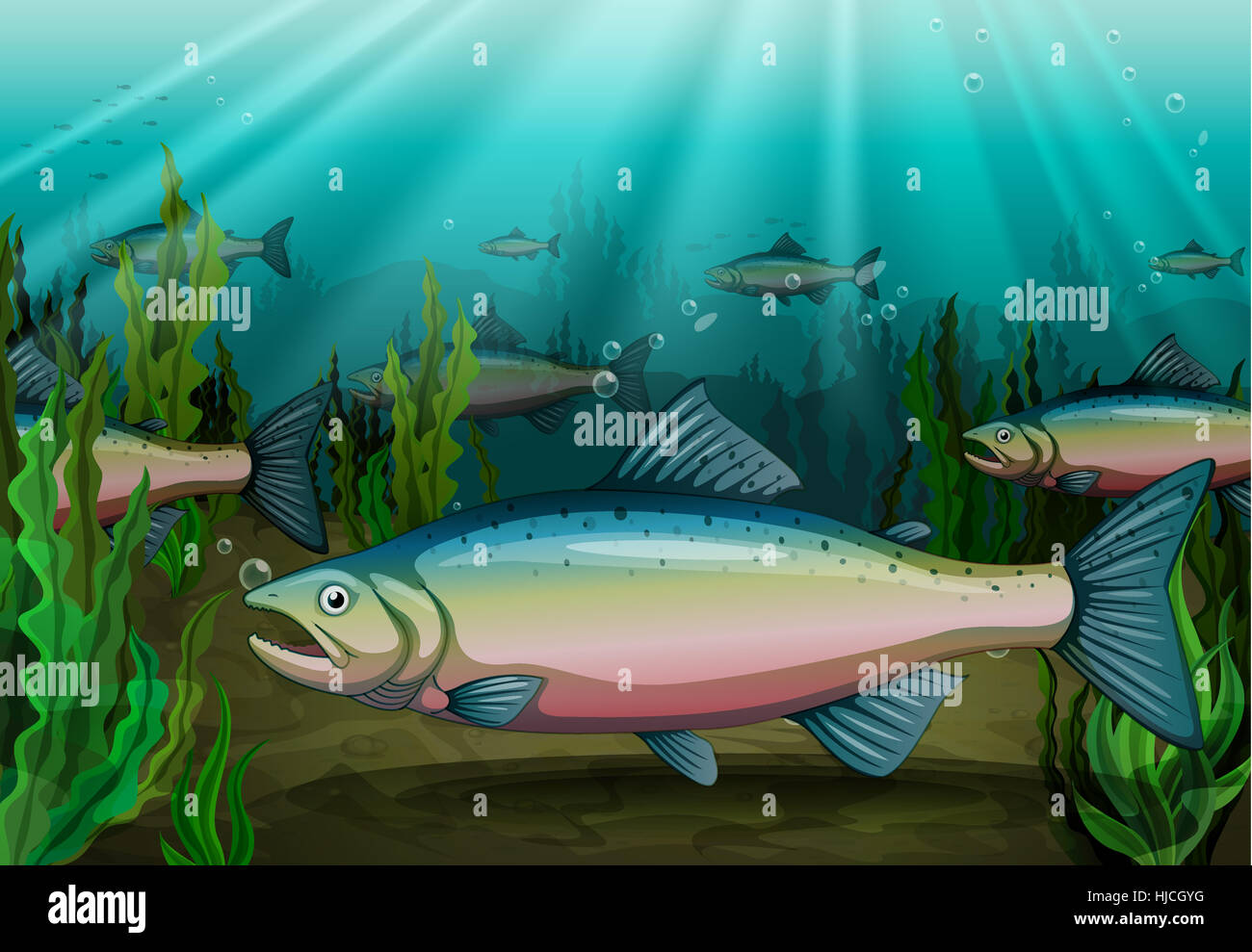 illustration of a fish under sea water Stock Photo - Alamy