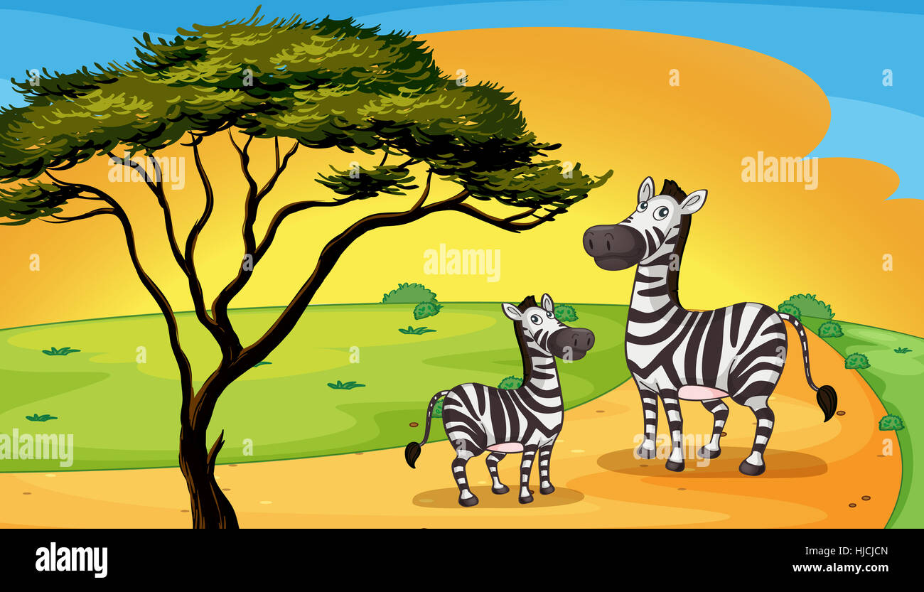 colour, model, design, project, concept, plan, draft, tree, graphic ...