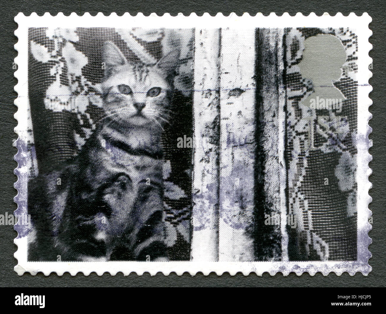 Uk postage stamp cat hi-res stock photography and images - Alamy