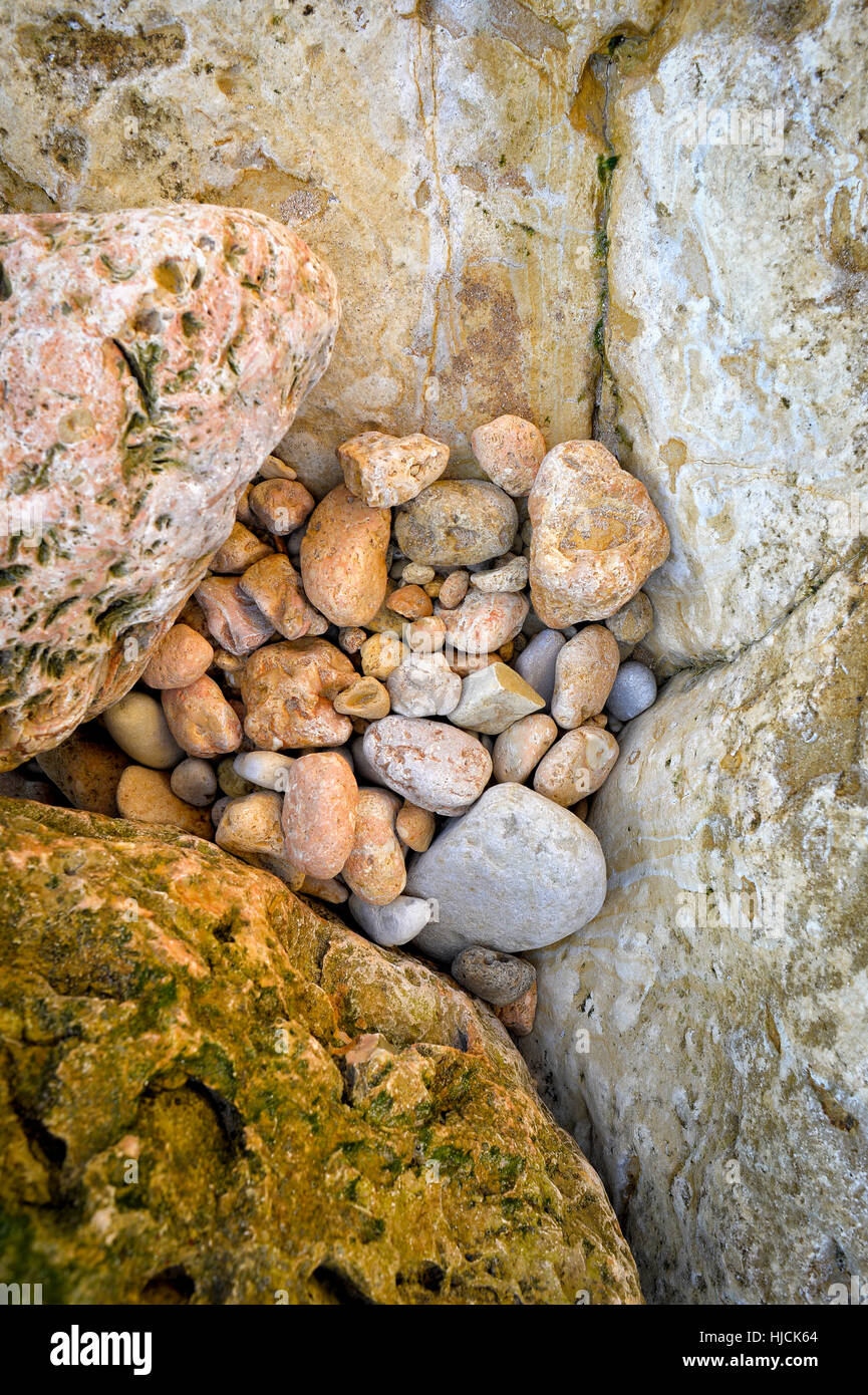 Amongst pebble hi-res stock photography and images - Alamy