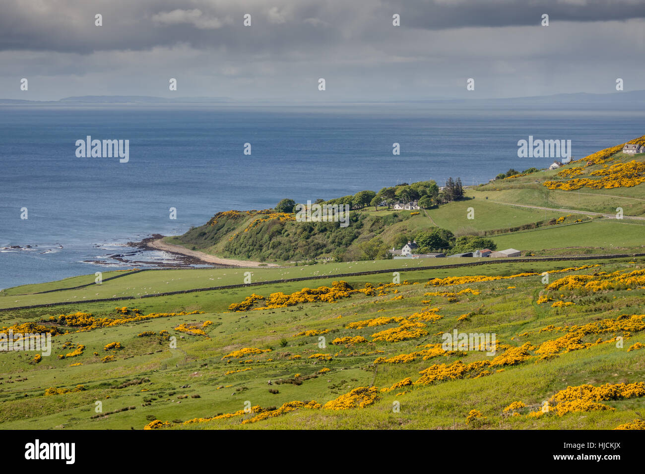 Nort Sea Coastline at Navidale, Scotland Stock Photo - Alamy