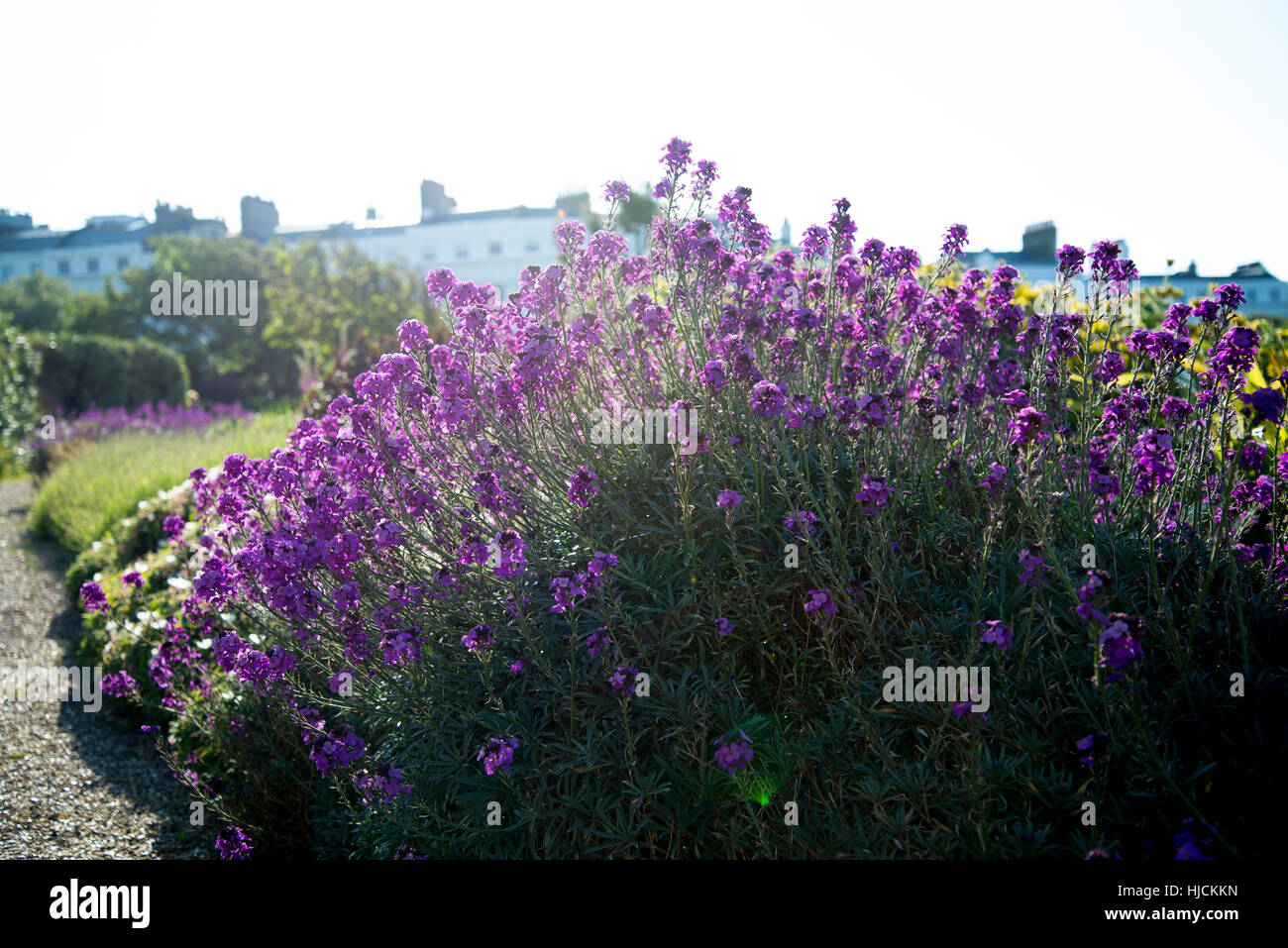 Regency architecture and gardens in Lewes Crescent, Brighton Stock ...
