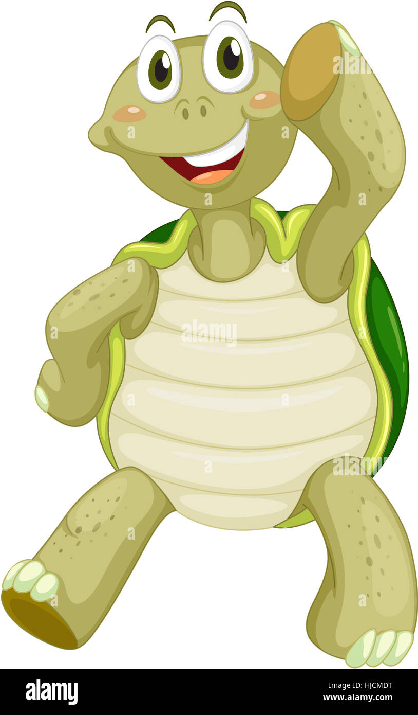 Turtle tortoise laugh laughs laughing hi-res stock photography and ...