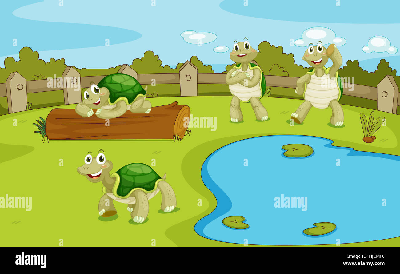 animal, scrabble, crawling, reptile, field, lily, summer, summerly ...