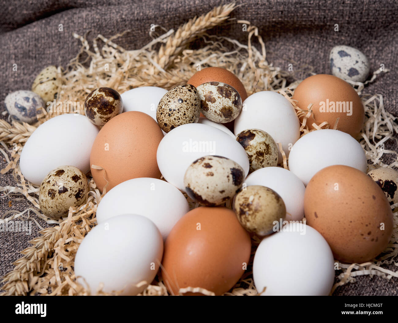 scattering of miscellaneous raw eggs Stock Photo - Alamy