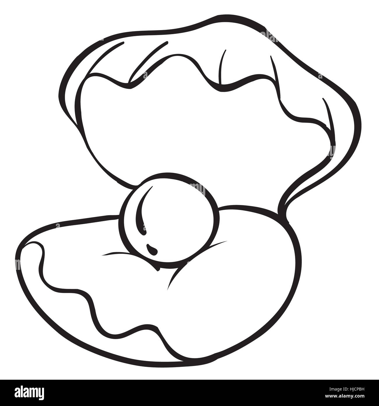 illustration of a conch shell on a white background Stock Photo - Alamy