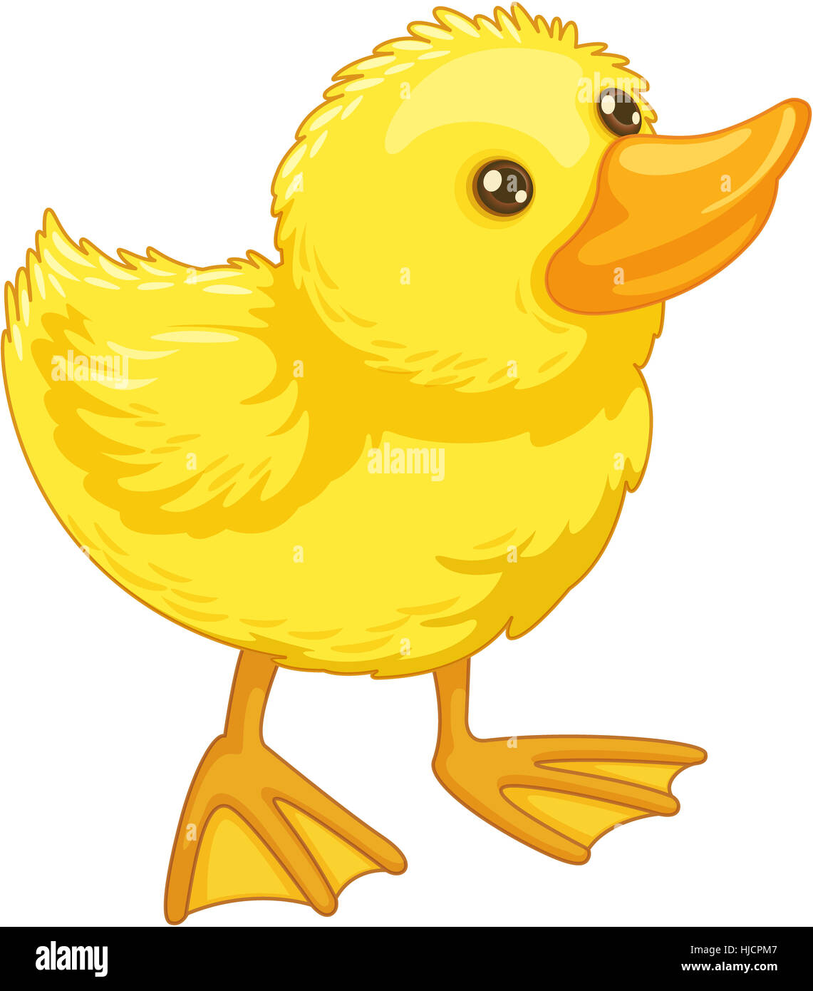 object, art, isolated, animal, bird, wing, small, tiny, little, short ...