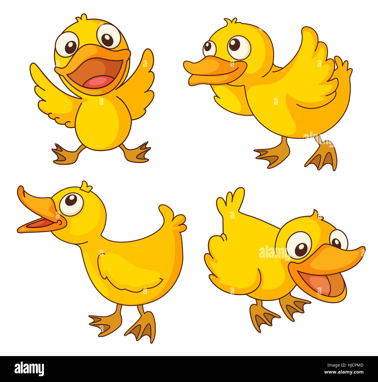 object, art, isolated, animal, bird, five, wing, look, glancing, see ...